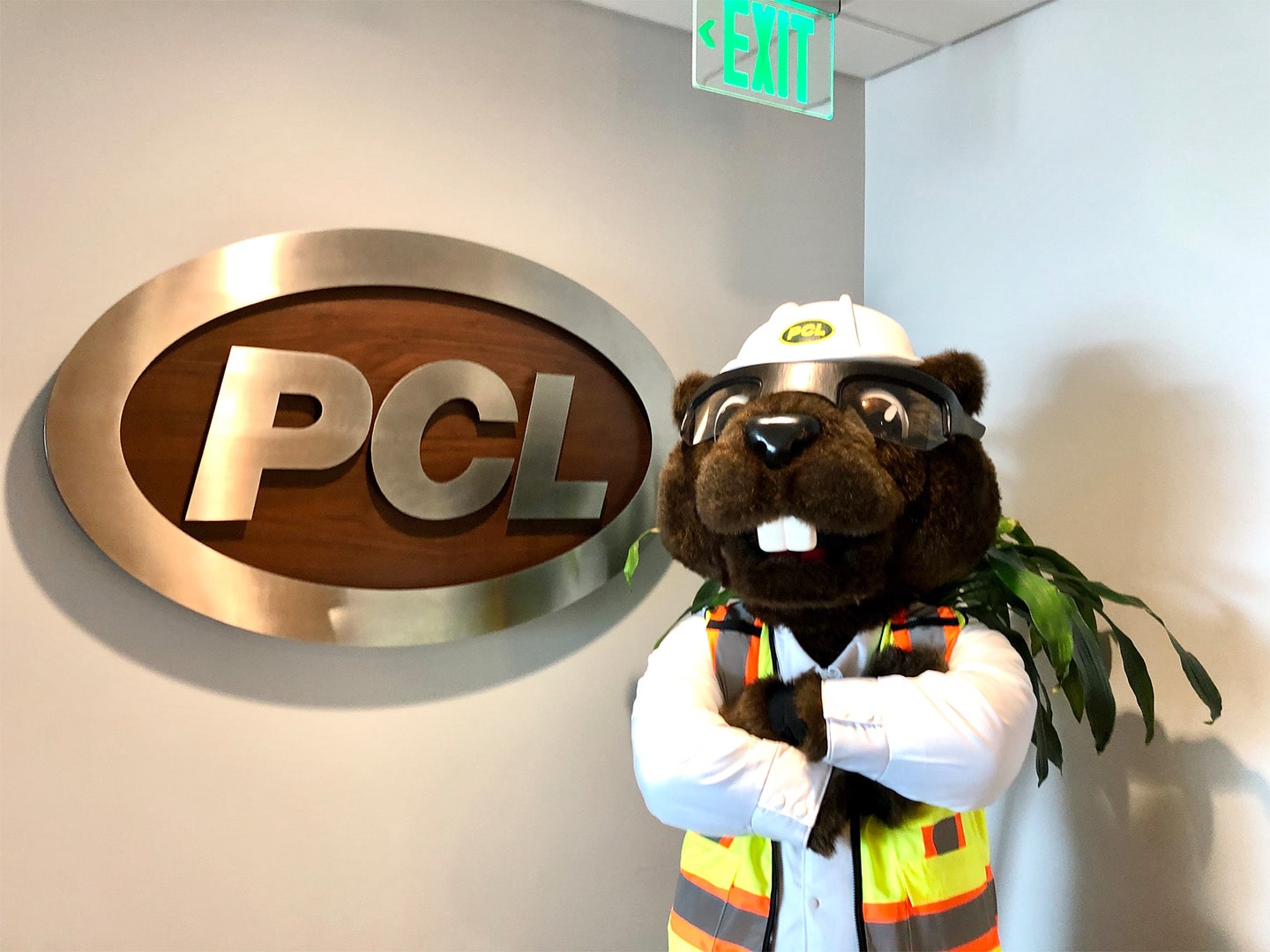 Meet Bidwell: A Memorable Mascot for PCL Construction