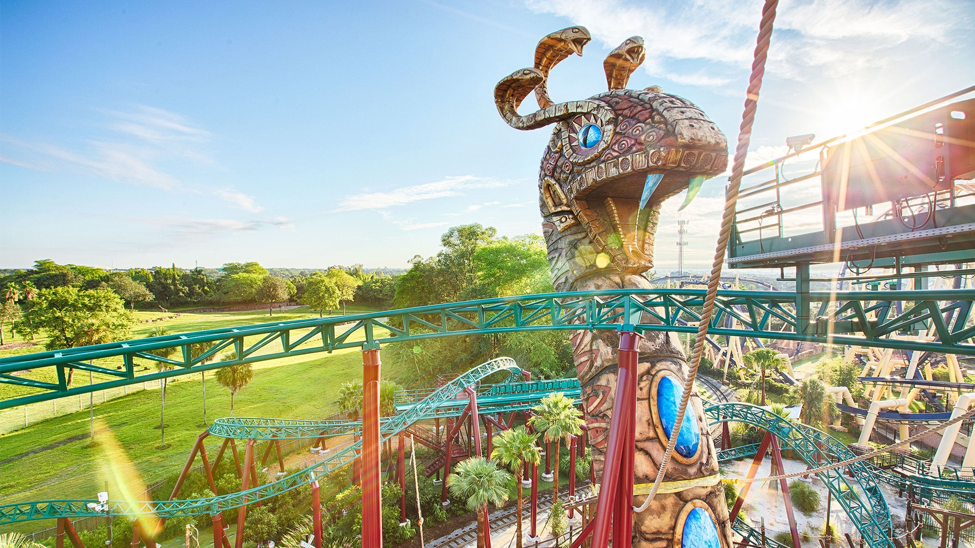 Cobra's Curse at Busch Gardens Tampa Bay