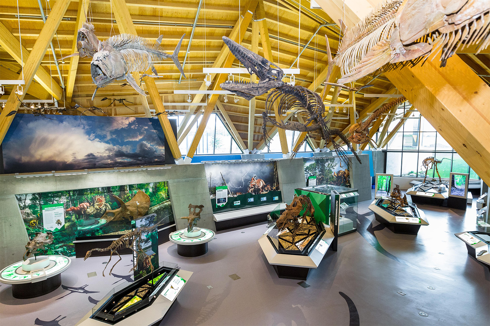Philip J. Currie Dinosaur Museum