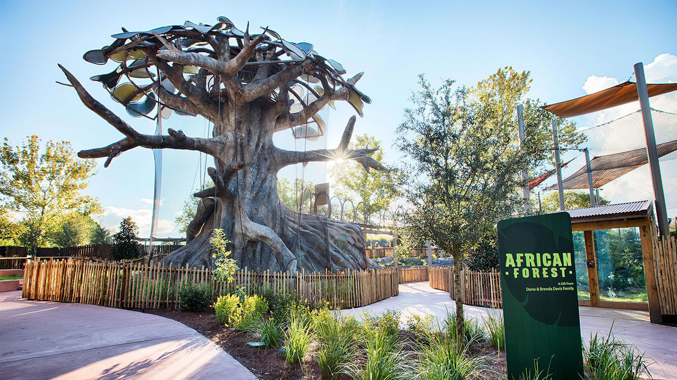 Artificial Rockwork and Faux Trees at African Forest Exhibit